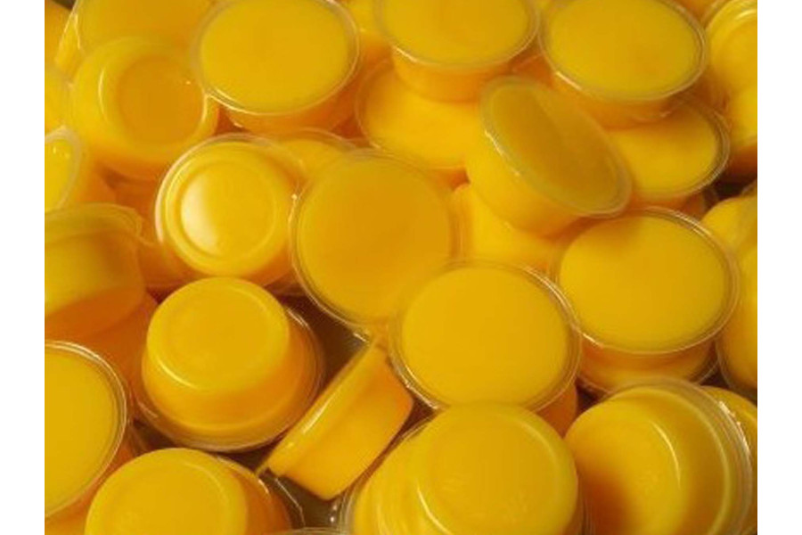 Elevage des Insectes