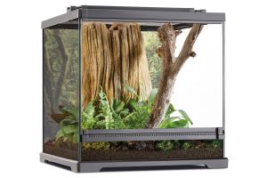 Achat Terrarium en Verre - Terrariums en Verre - La Ferme Tropicale