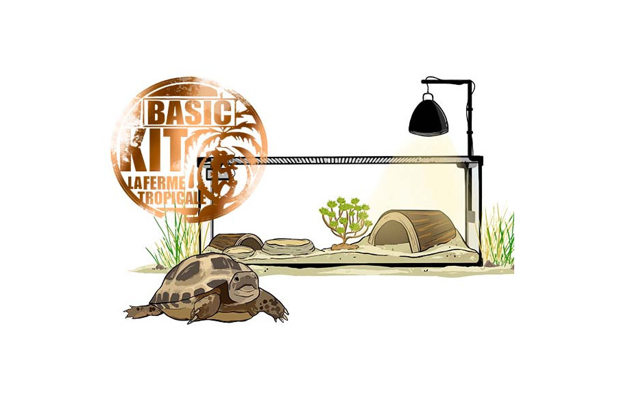 Kit Tortue des Steppes - BASIC