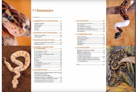 Livre : Python royal : Editions Ulmer